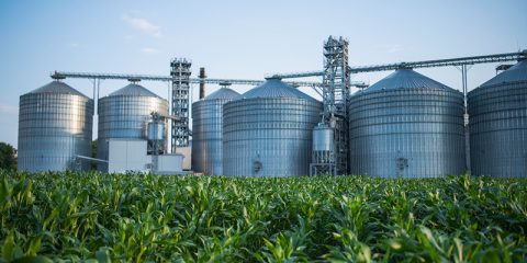 How Crop Storage Buildings Reduce Post-Harvest Losses | Merritt ...
