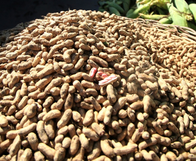 Benefits of Automated Peanut Cleaning Systems | Merritt Mechanical ...